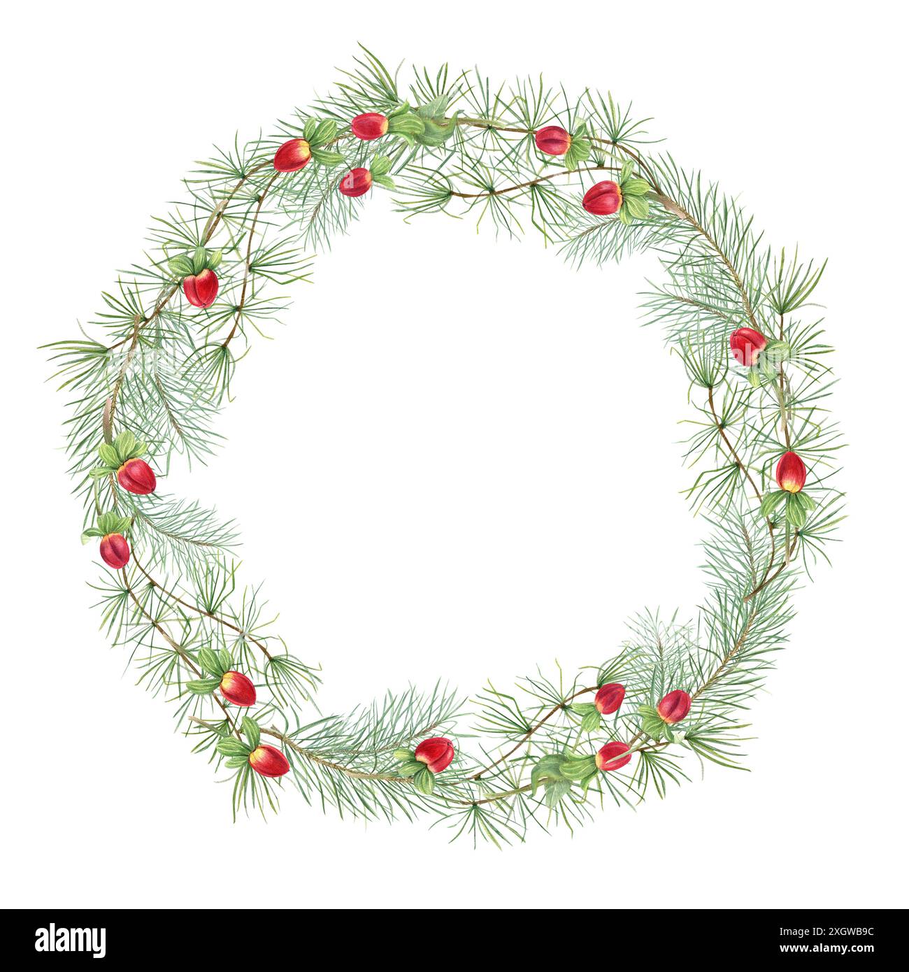 Red berry branches Cut Out Stock Images & Pictures - Alamy