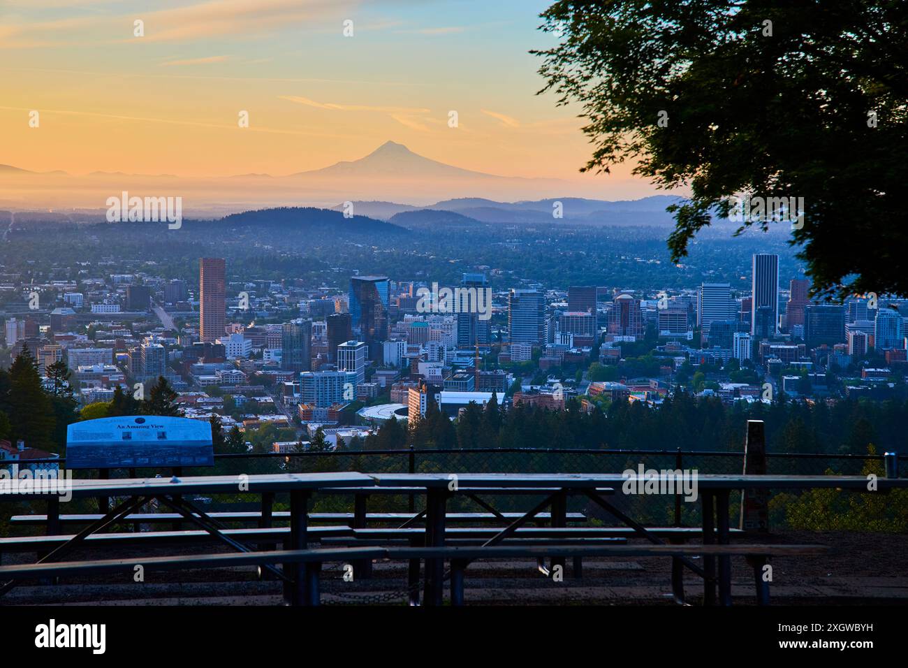Portland skyline from park hi-res stock photography and images - Alamy