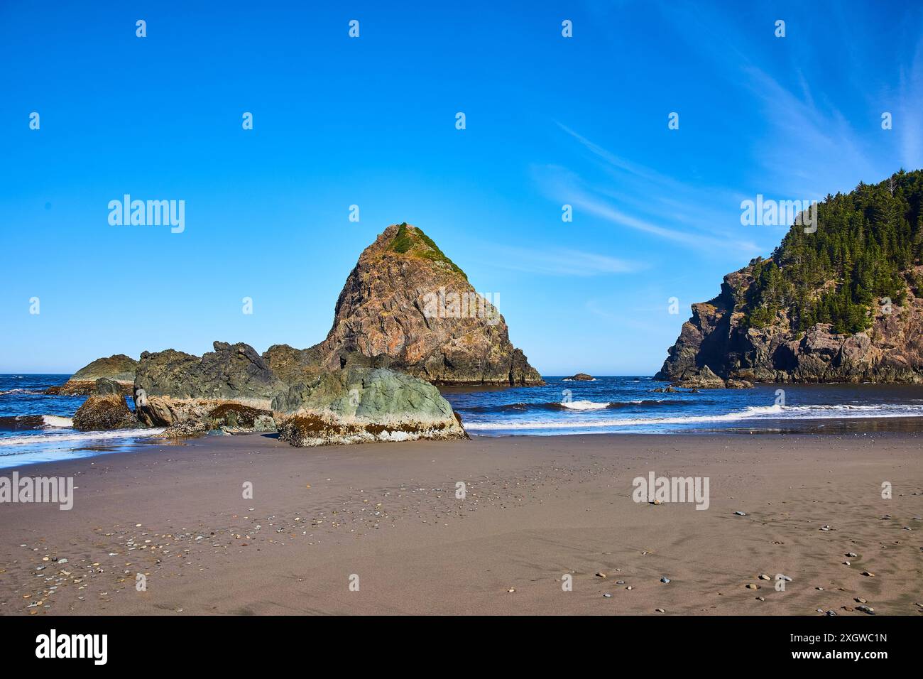 Sea Stacks at Whaleshead Beach with Pine Forest Backdrop - Eye-Level ...
