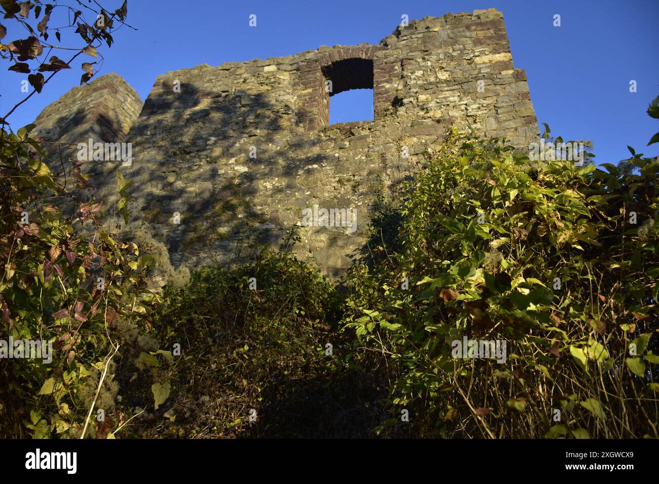 Polle hi-res stock photography and images - Alamy