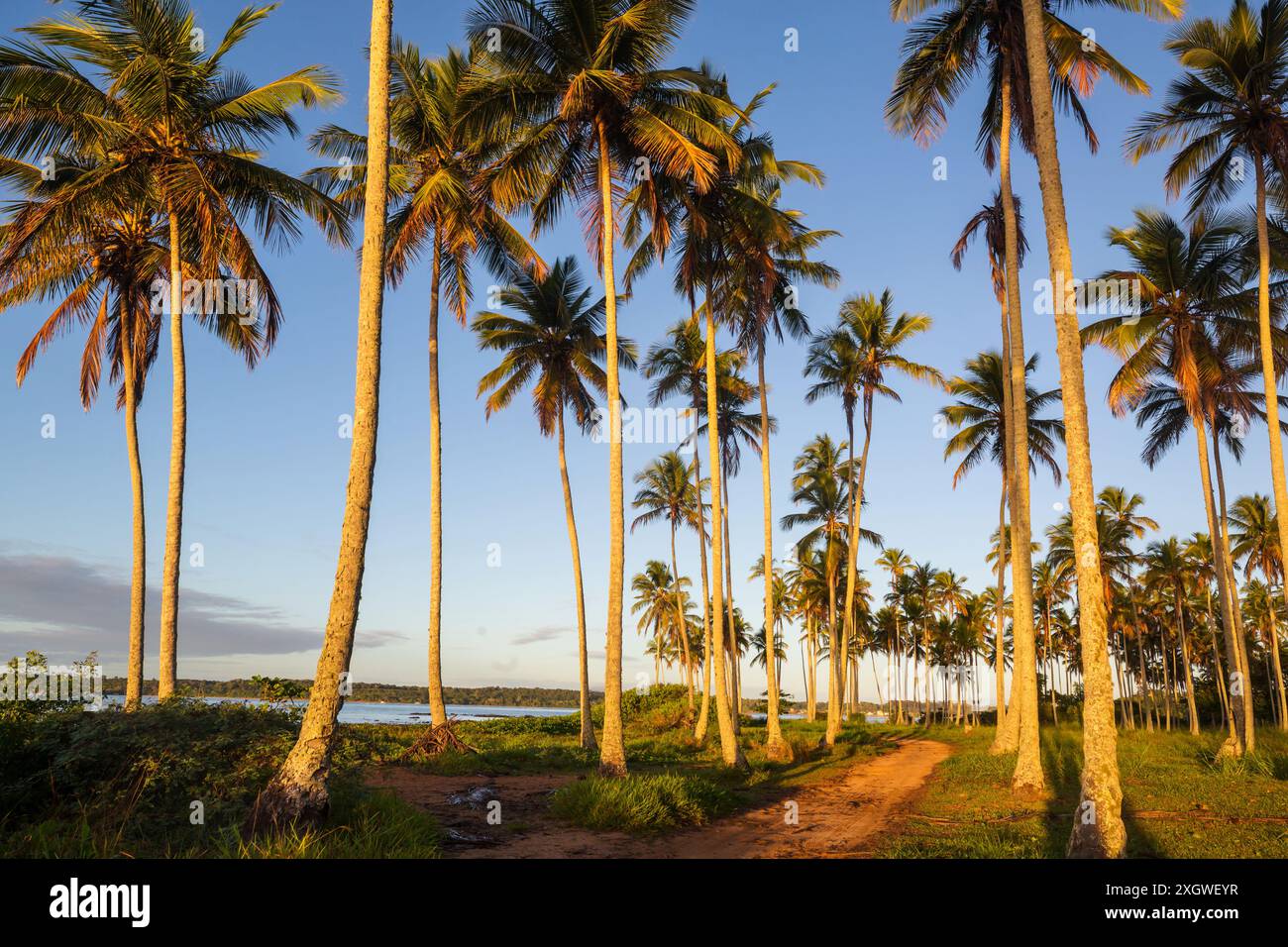 Beautiful summer landscapes on the tropical beach. Vacation background ...