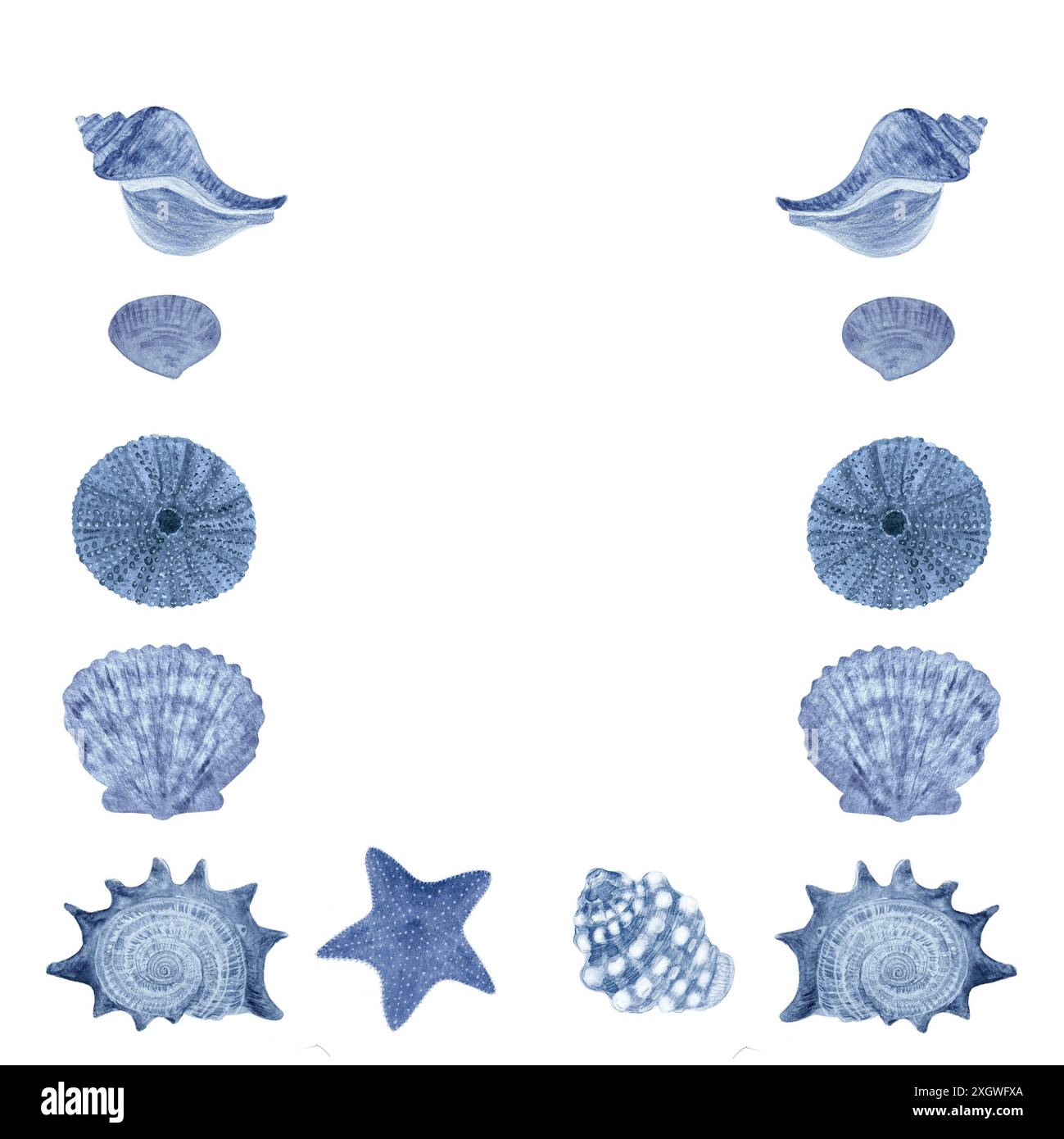 Shell frame monochrome in blue watercolor hand-drawn isolated on white ...