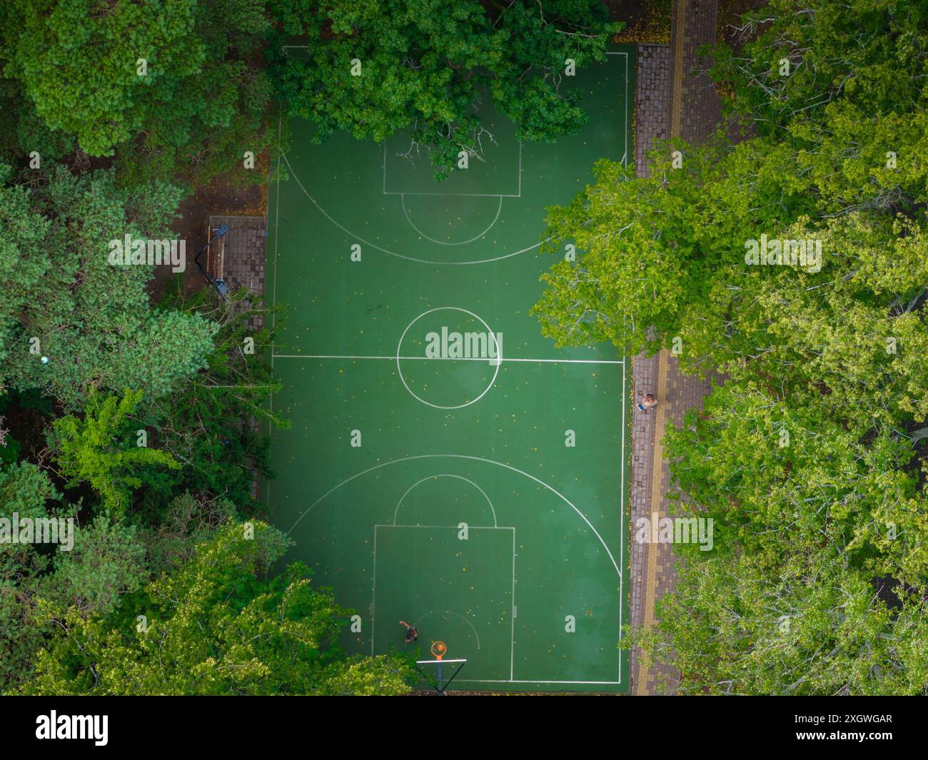 Top view of the basketball court in the park among green trees. Aerial ...
