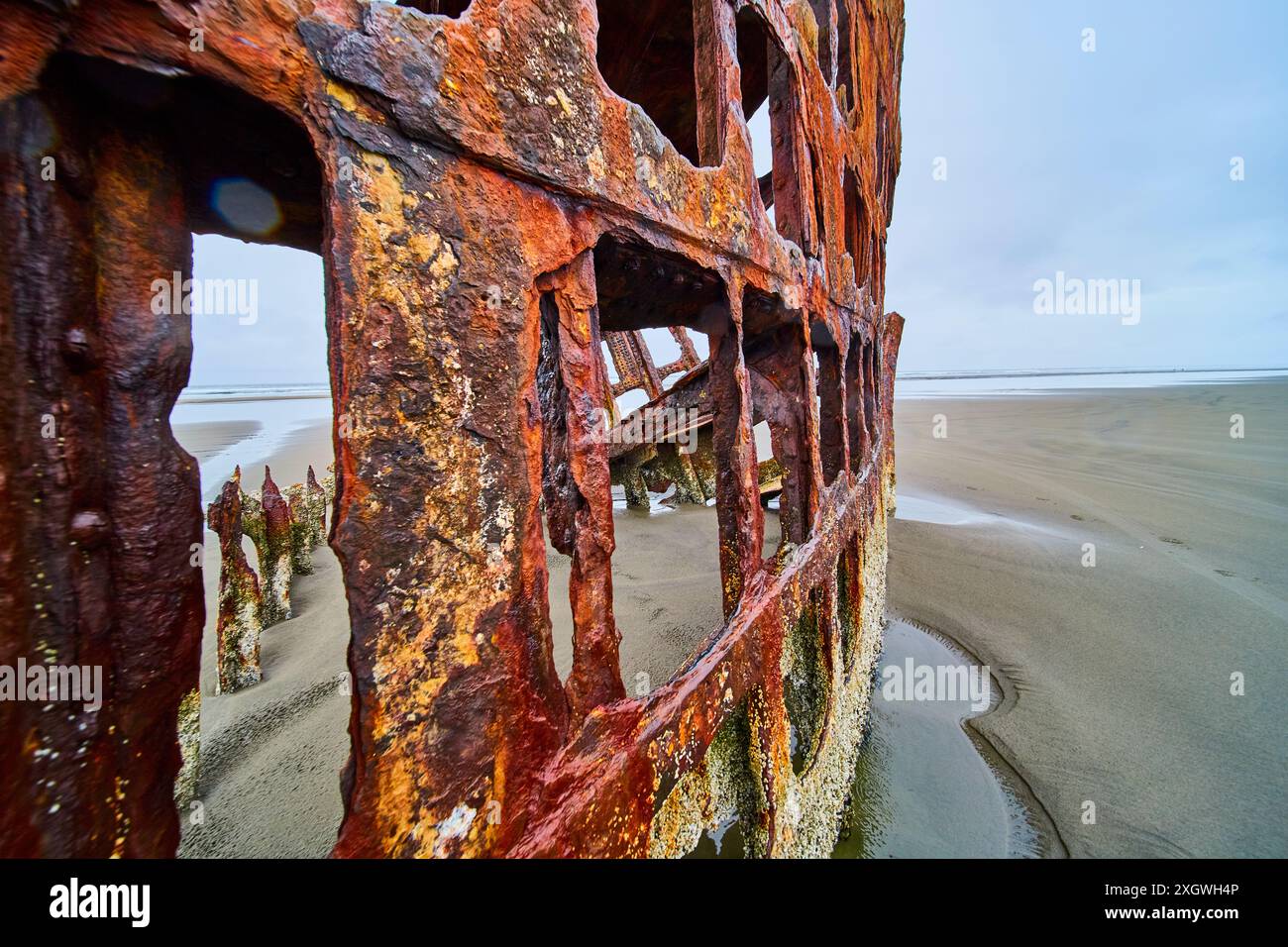 Rusted Shipwreck on Desolate Beach Low Eye-Level Perspective Stock ...