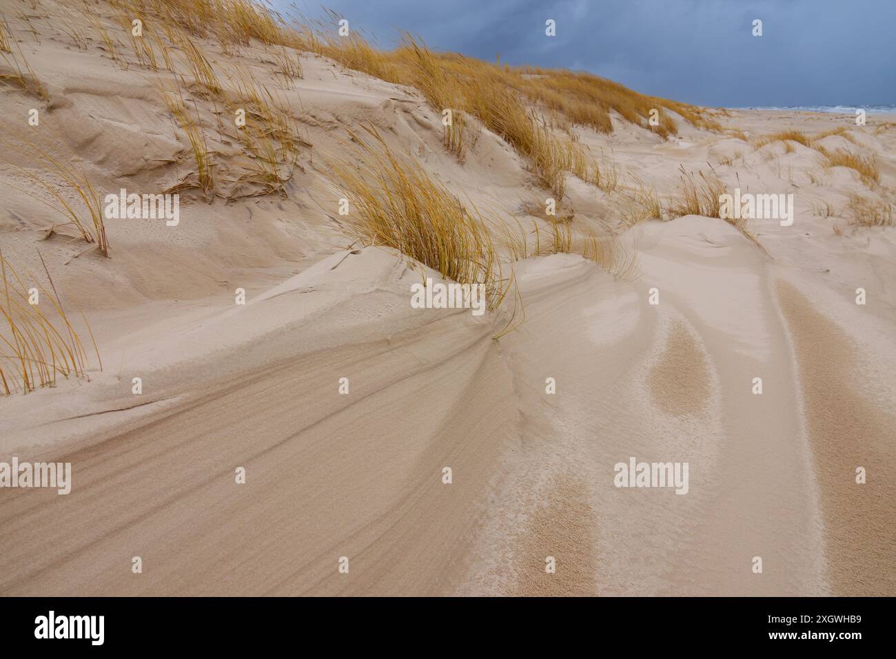 Beautiful dunesscenery of the Slowinski National Park by the Baltic Sea ...