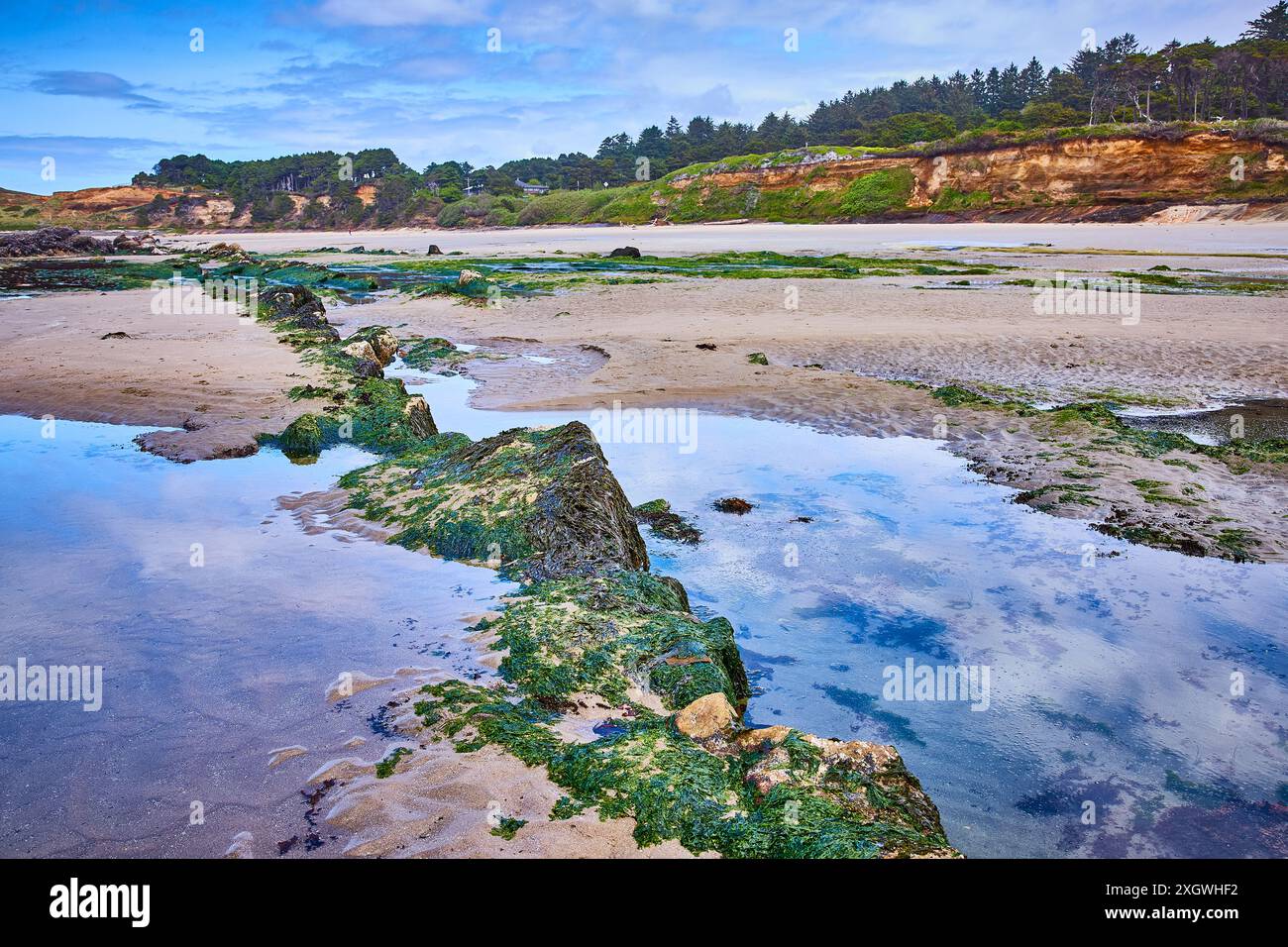 Moss-Covered Rocks and Tidal Pools at Sunrise, Coastal Oregon Stock ...