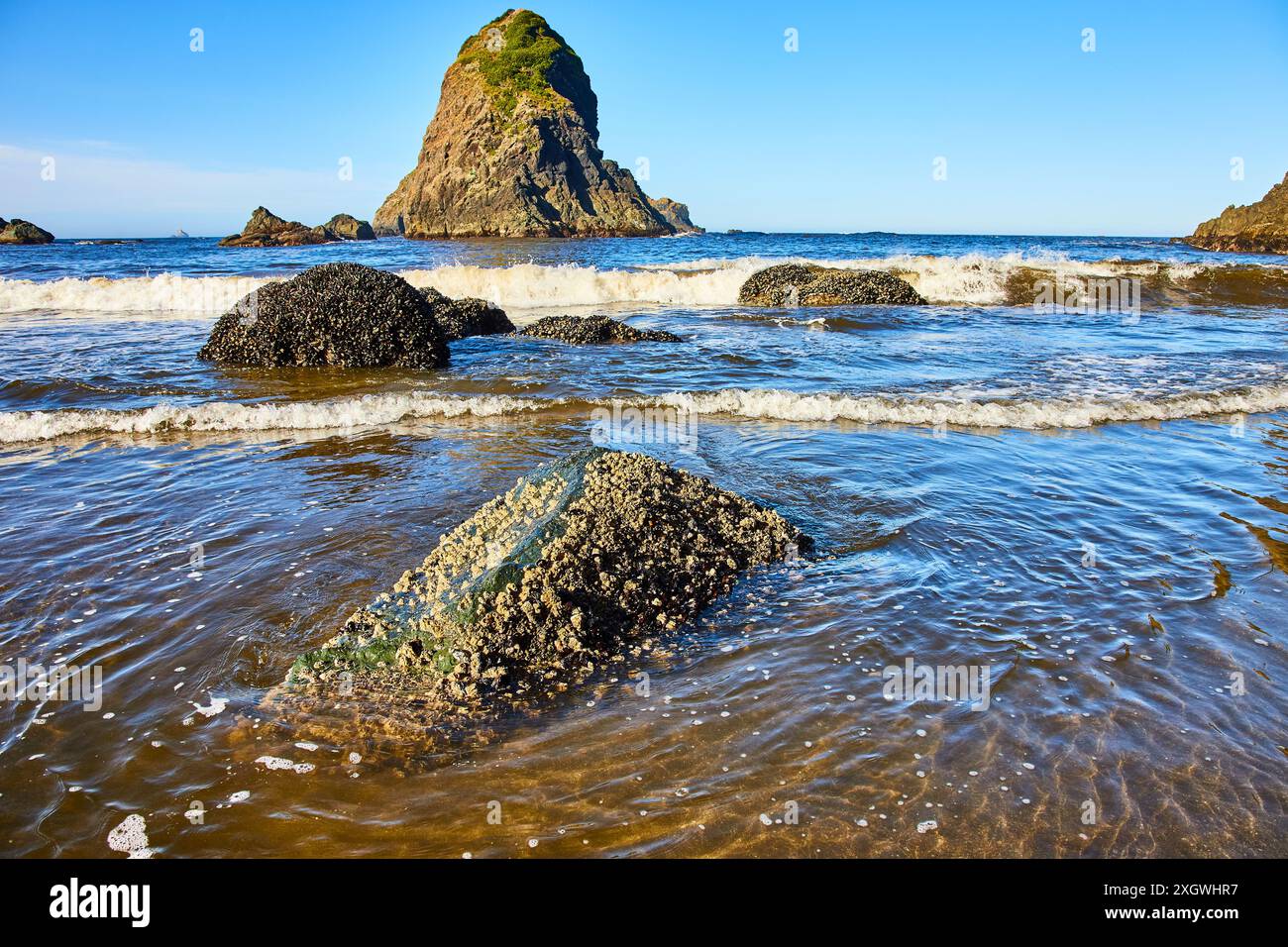 Rugged Sea Stack and Barnacle-Covered Rocks in Shallow Ocean Water at ...