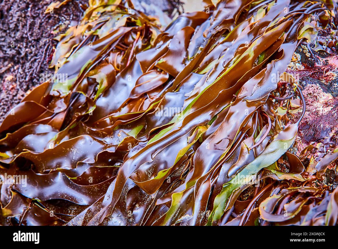 Clear educational perspective hi-res stock photography and images - Alamy
