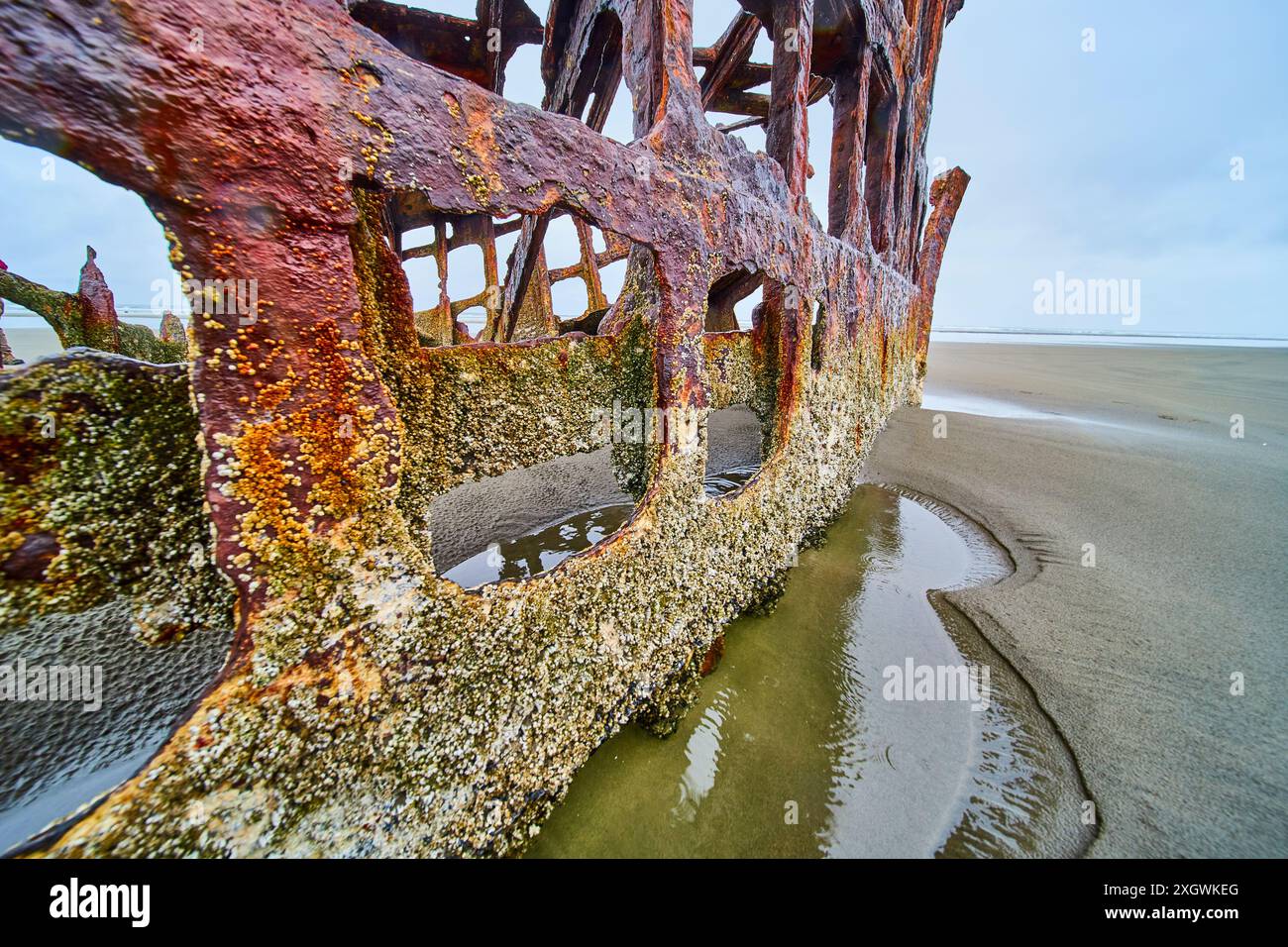 Beach erosion reclaiming sand hi-res stock photography and images - Alamy