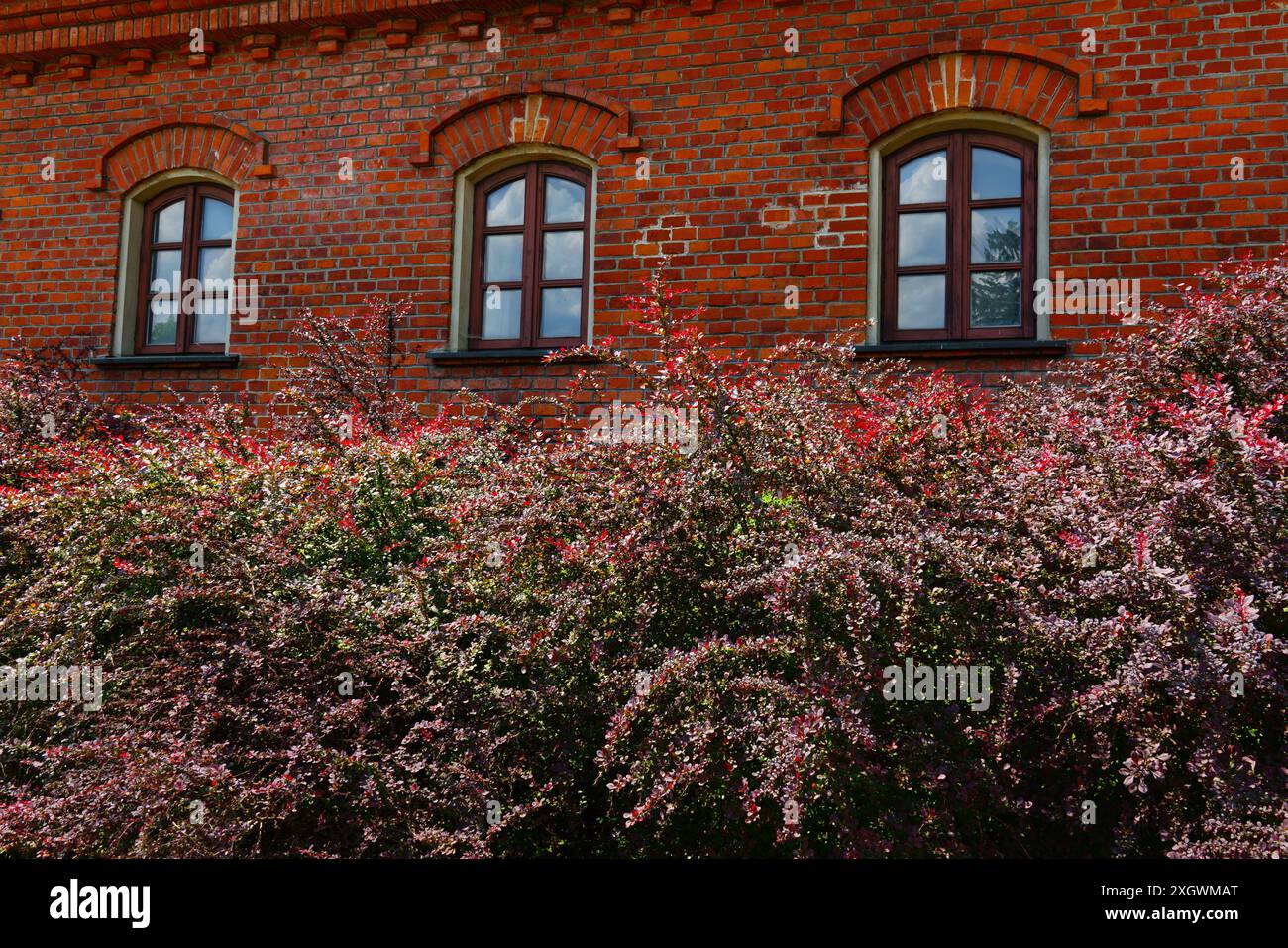 2023-05-30; fragment House on the grounds of the Historic Sieniawa ...