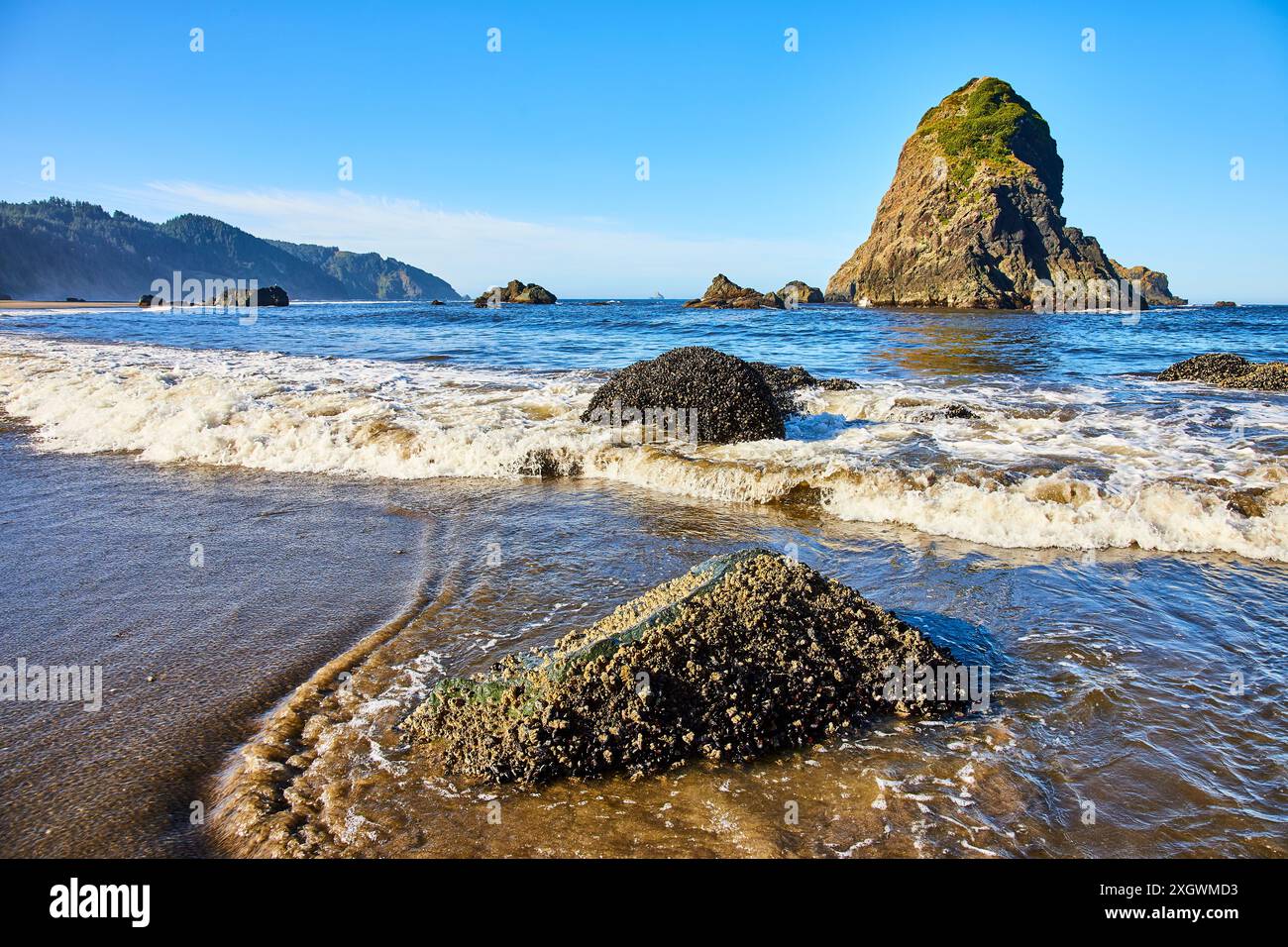 Rugged Sea Stack at Whaleshead Beach with Incoming Tide Stock Photo - Alamy