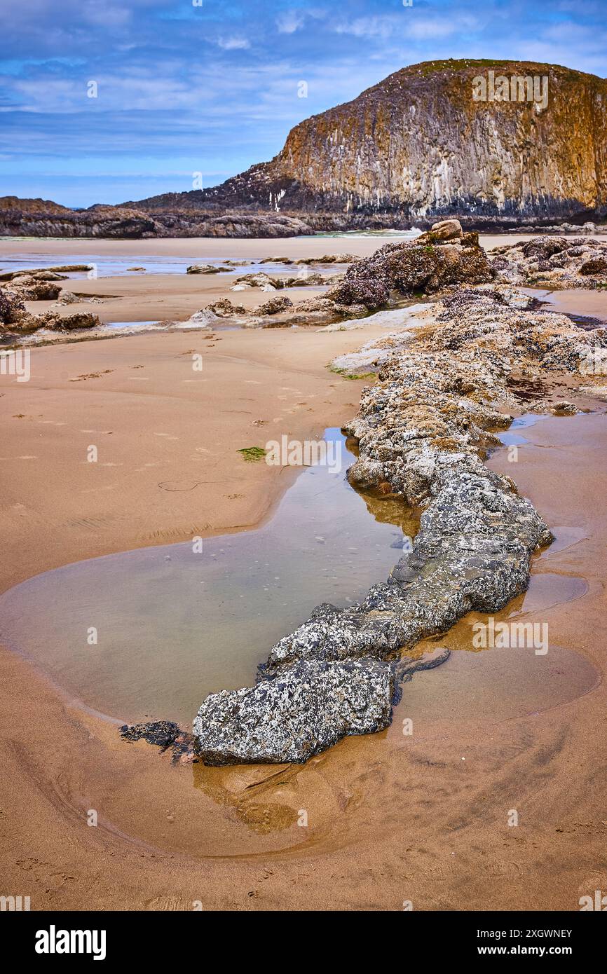 Rugged Cliff and Tidal Pools at Seal Rock Oregon Eye-Level Perspective ...