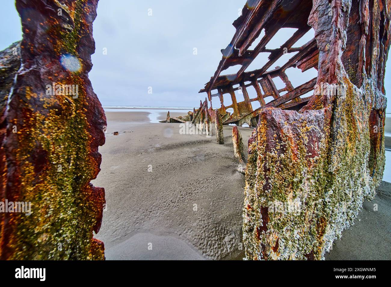 Rusty Shipwreck Remains on Sandy Beach Low Angle Perspective Stock ...