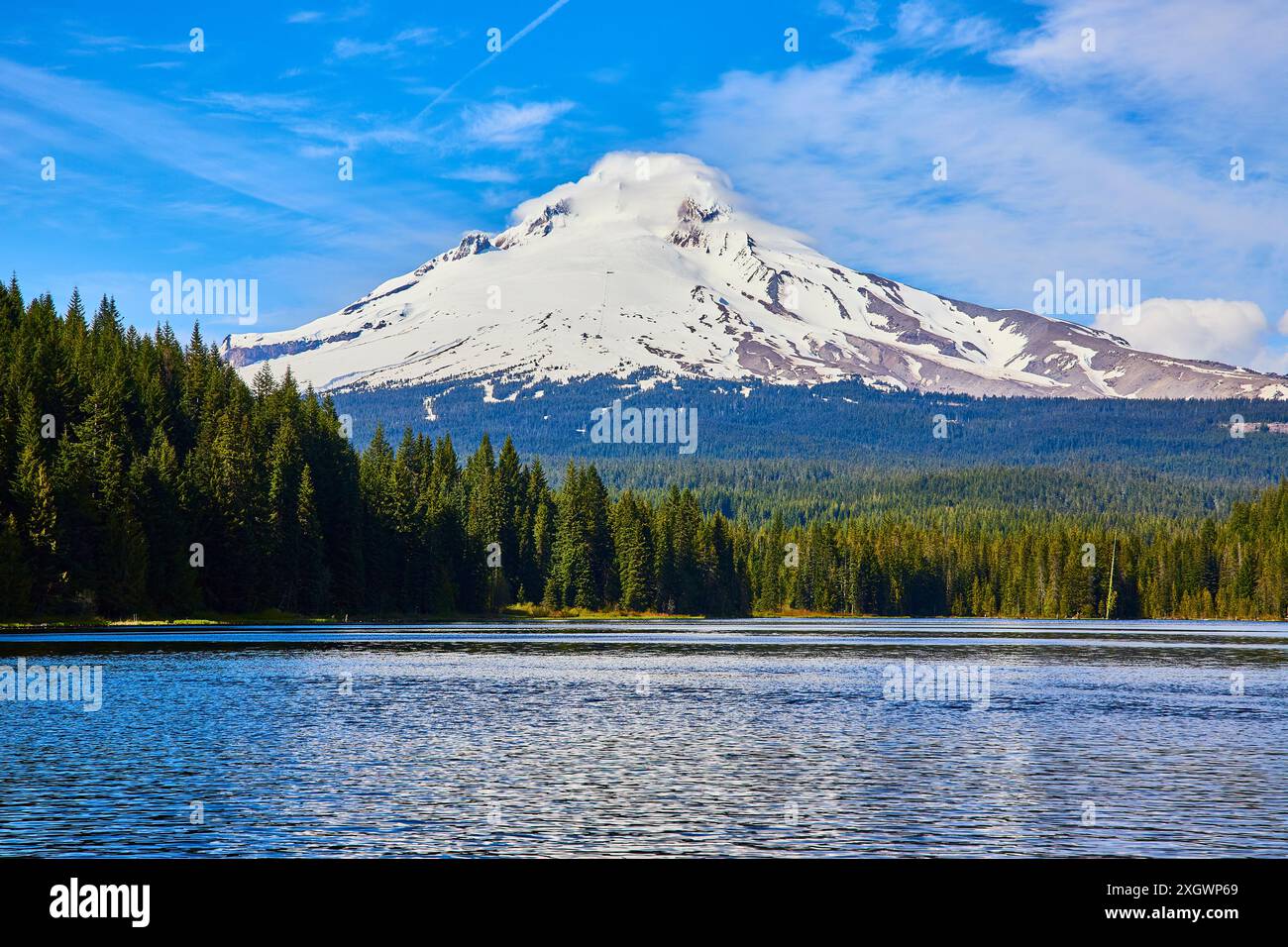 Mount Hood Snow-Capped Peak with Reflective Lake and Evergreen Forest ...