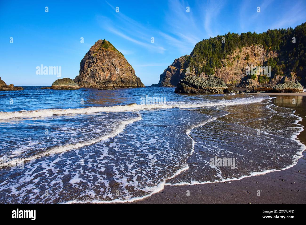 Sea Stacks and Forested Cliffs at Whaleshead Beach Eye Level View Stock ...