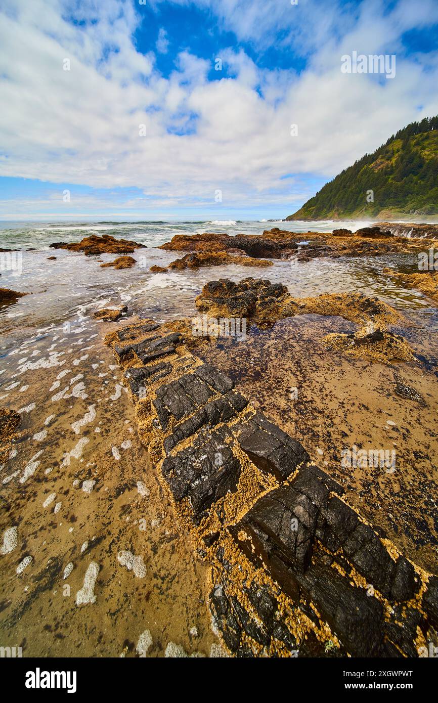Rugged Barnacle-Covered Rocks and Foamy Waves with Blue Sky View Stock ...