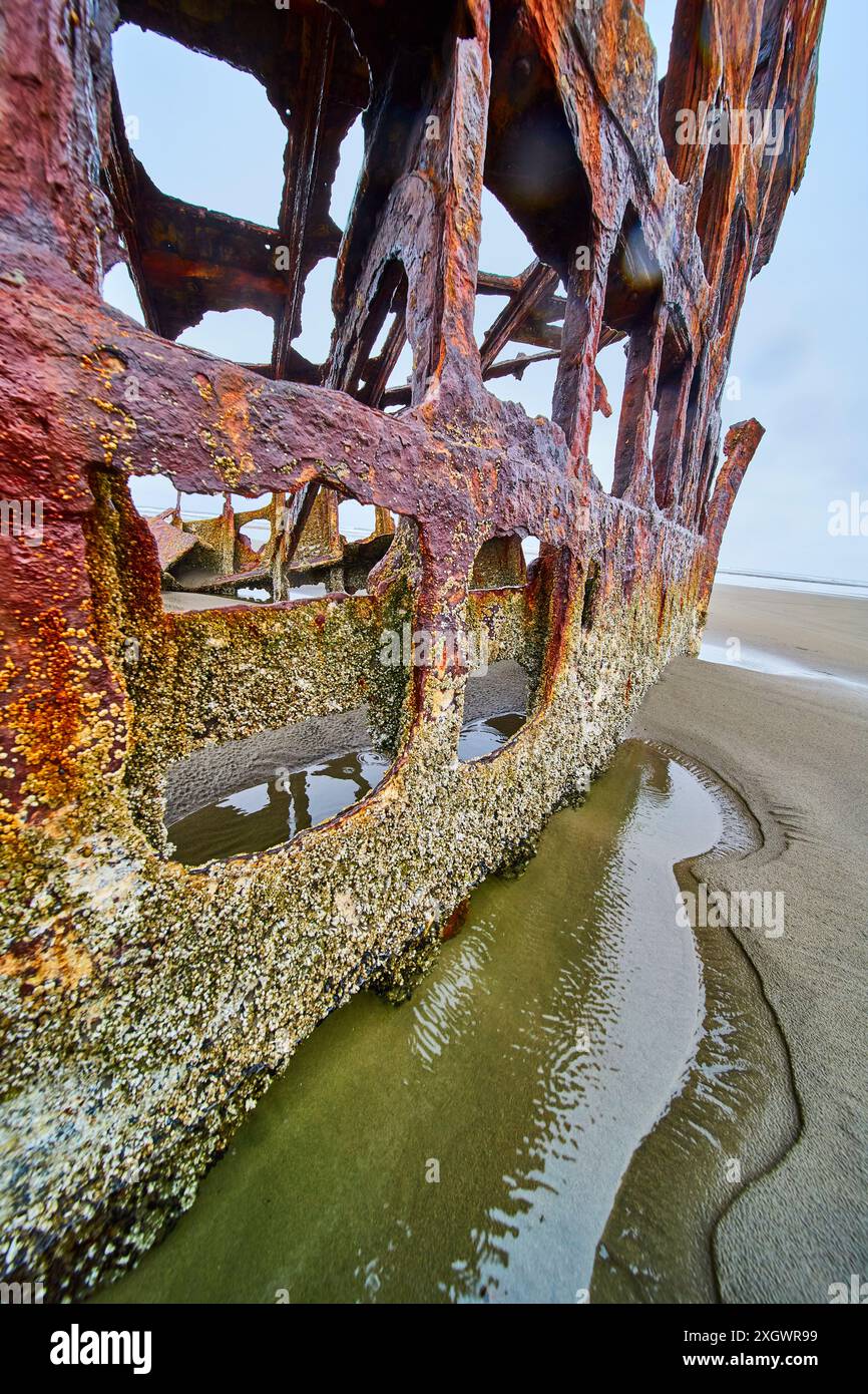Rusted Shipwreck on Sandy Beach from Low Angle Stock Photo - Alamy