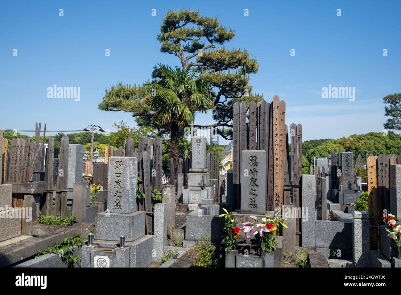 Graveyard Shibuya Tokyo Japan Stock Photo - Alamy