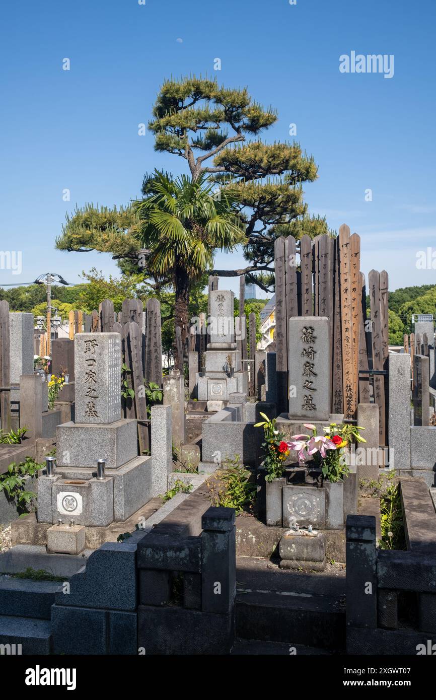Graveyard Shibuya Tokyo Japan Stock Photo - Alamy