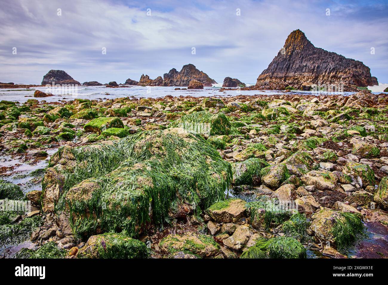 Rugged Coastal Rocks and Seaweed at Eye Level Stock Photo - Alamy