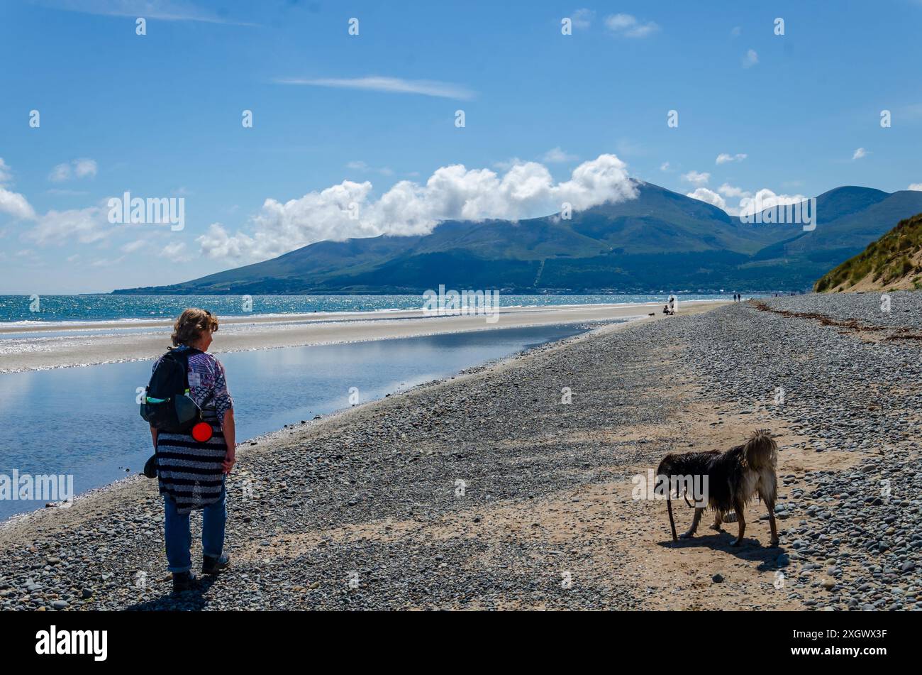 Murlough County Down Northern Ireland July 08 2024 - Woman walking her ...
