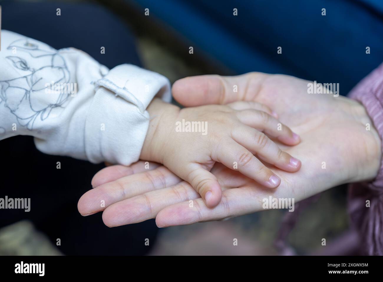 Hands inherited hi-res stock photography and images - Alamy