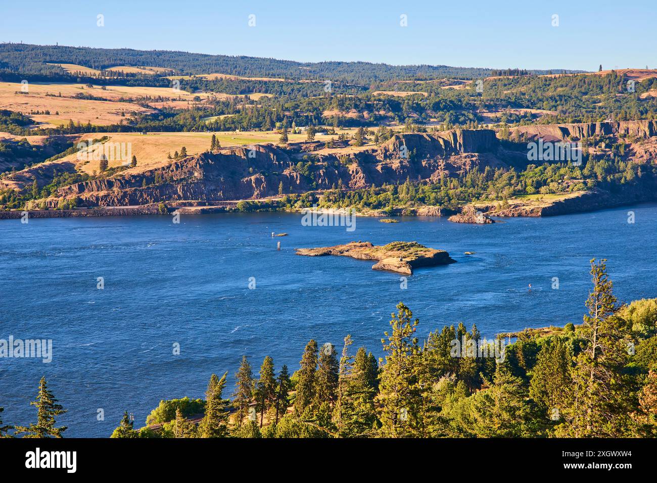 Columbia River Gorge and Evergreen Forest Aerial View from Rowena Crest ...