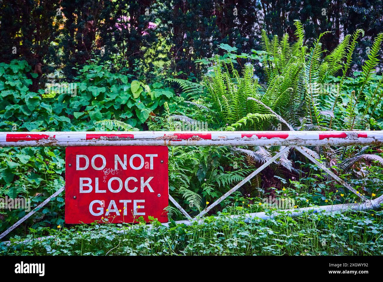 Red and White Do Not Block Gate Sign in Overgrown Greenery Eye-Level ...