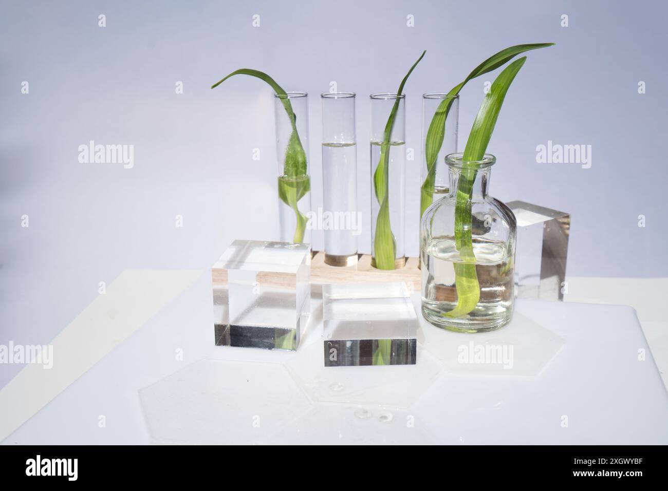 Science and nature concept Stock Photo - Alamy