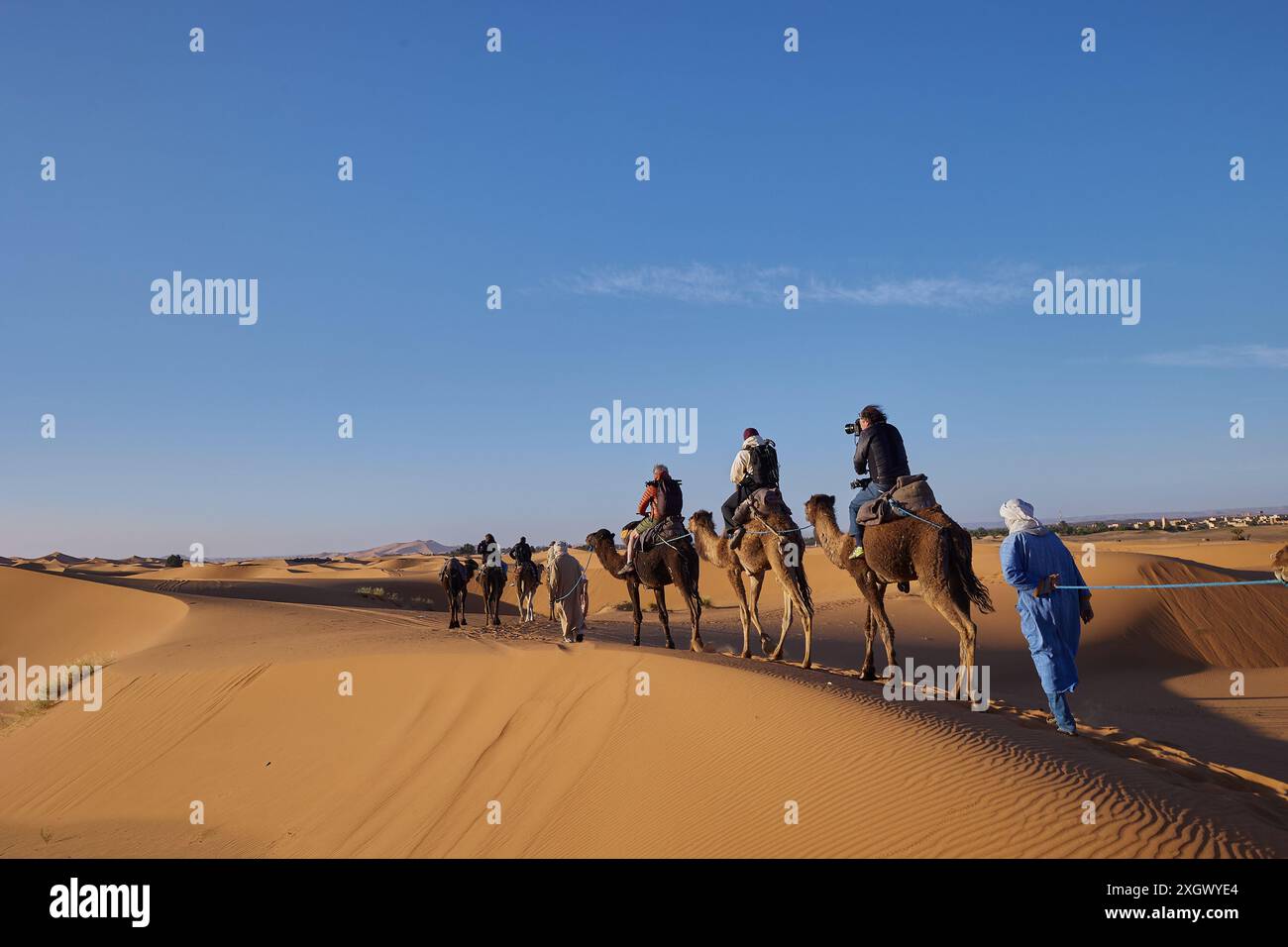 Explore the vast Sahara dunes on a camel trek, experiencing the ...