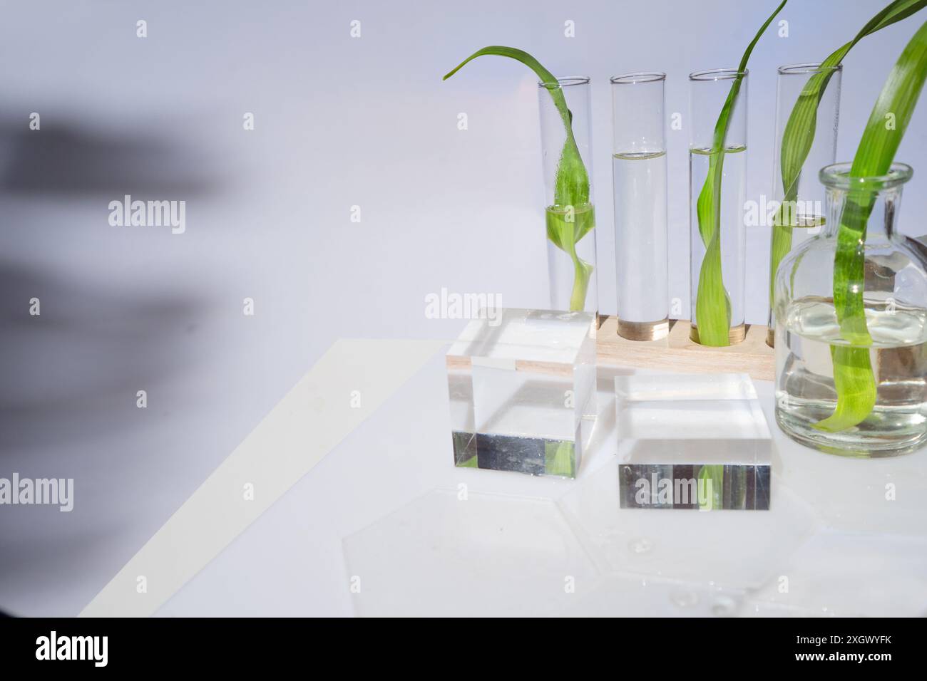 Science and nature concept Stock Photo - Alamy