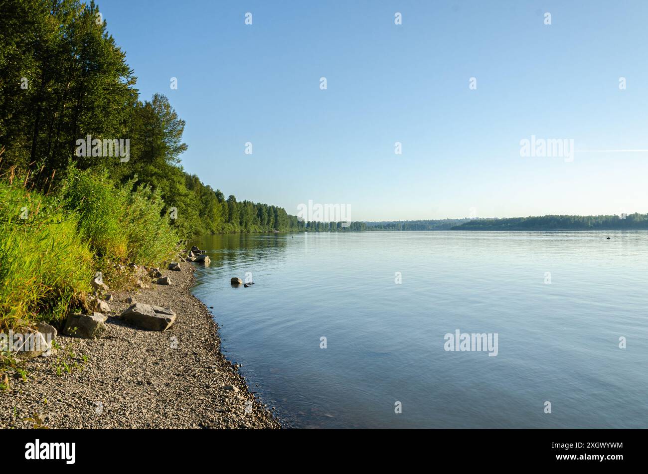 Fraser River, Mission, British Columbia, C, Canada Stock Photo - Alamy