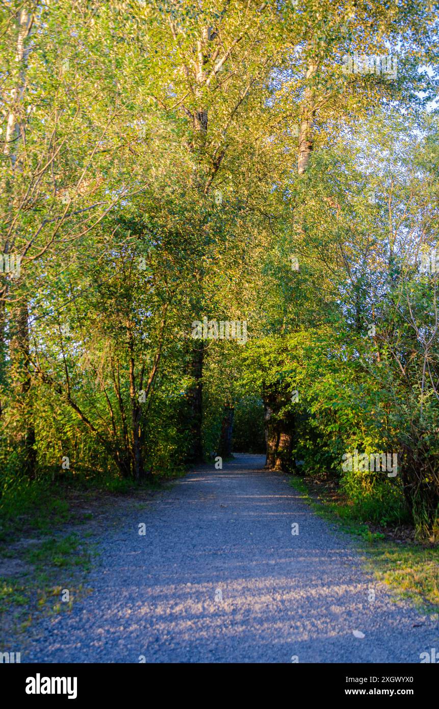 Matsqui trail hi-res stock photography and images - Alamy