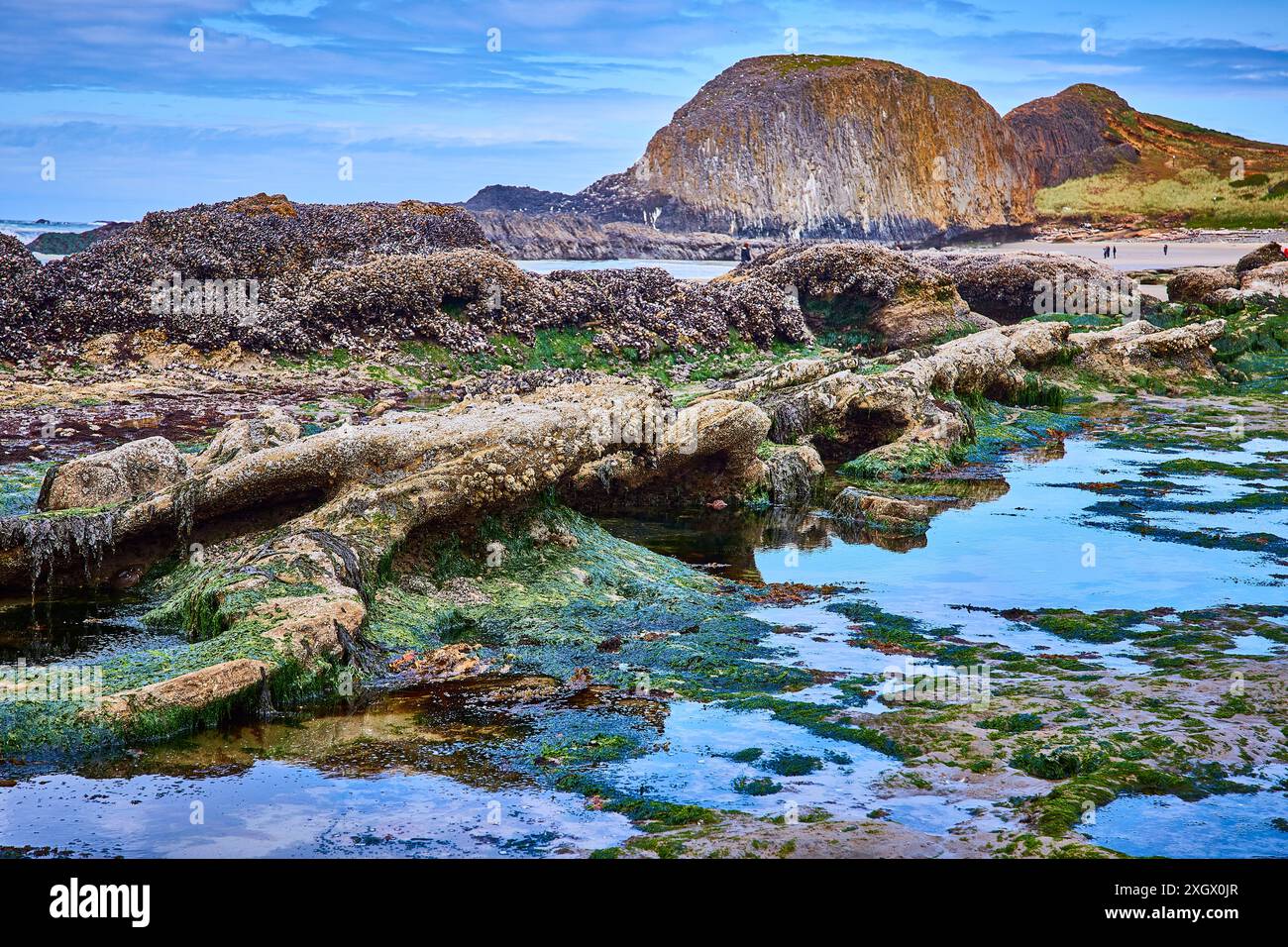 Detailed view rugged rocky hi-res stock photography and images - Alamy