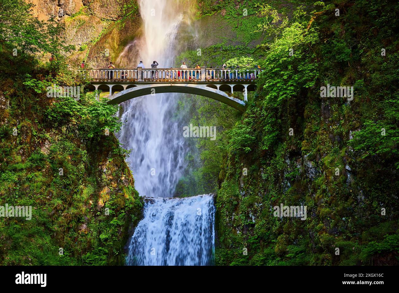 Majestic Multnomah Falls and Arched Bridge Eye-Level View Stock Photo ...