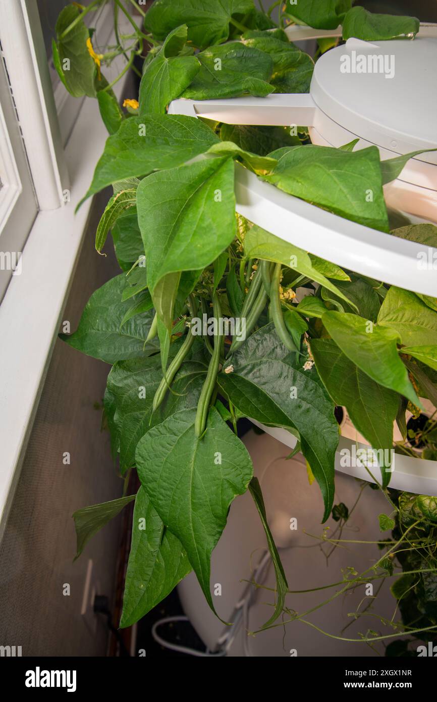 Ve nobody hi-res stock photography and images - Alamy