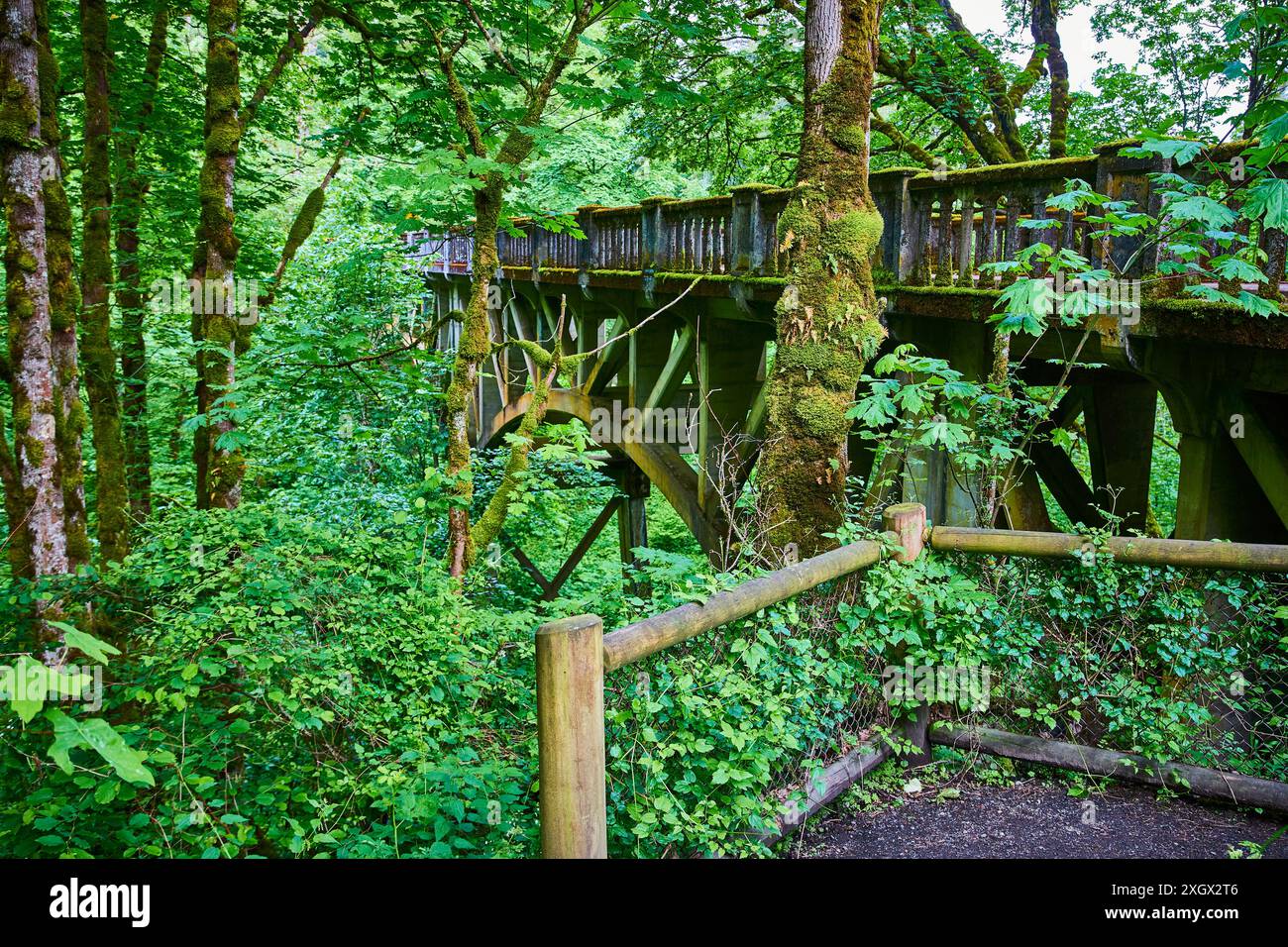 Moss covered oregon bridge hi-res stock photography and images - Alamy
