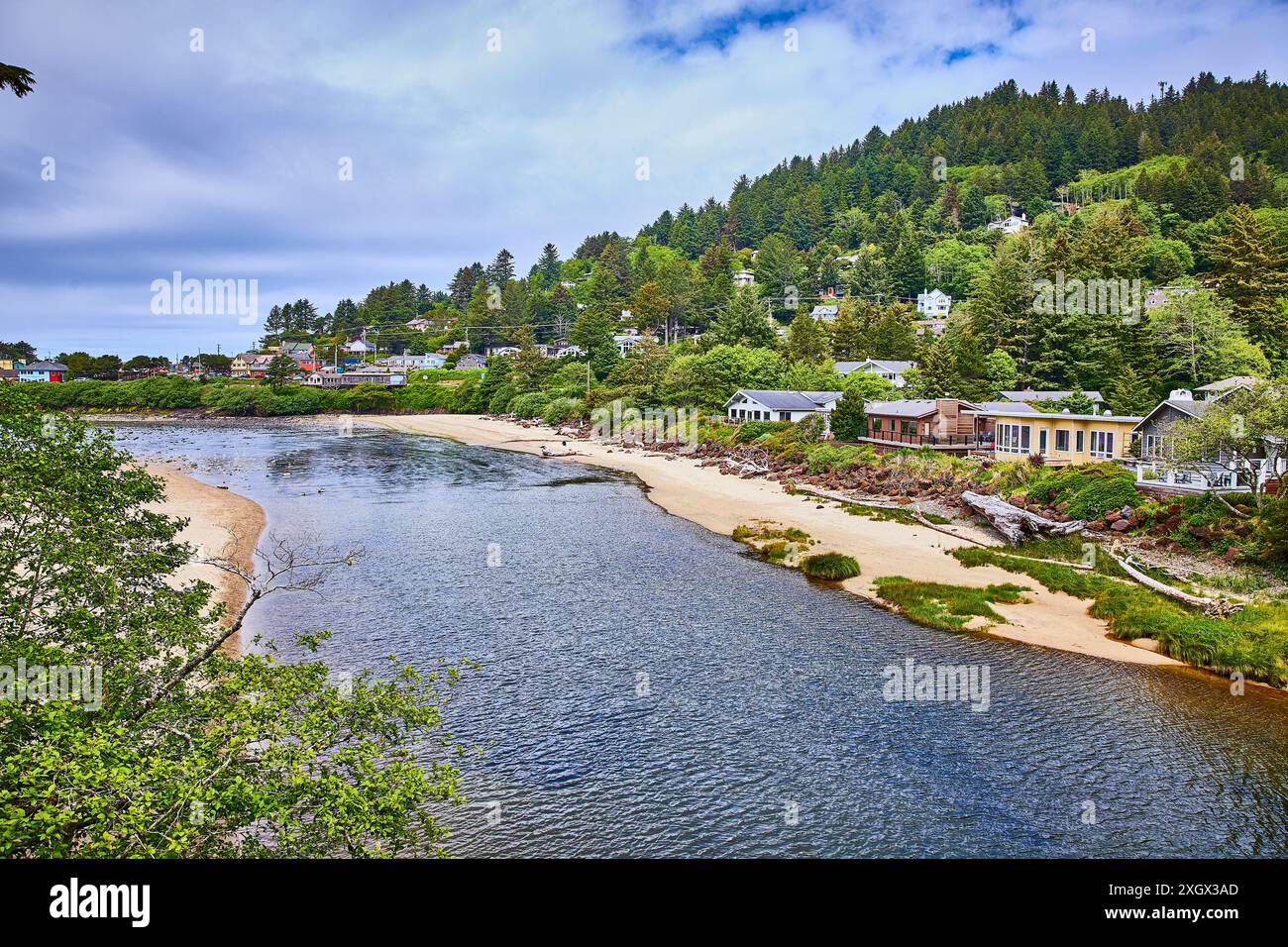 Oregon coast lush forests hi-res stock photography and images - Alamy