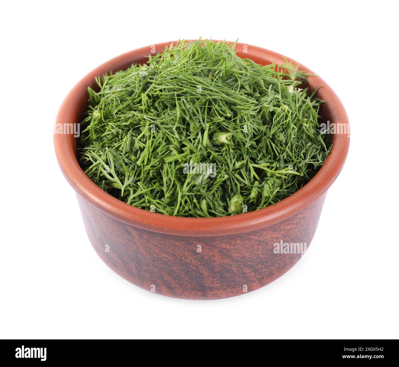 Fresh dill in garden Cut Out Stock Images & Pictures - Alamy