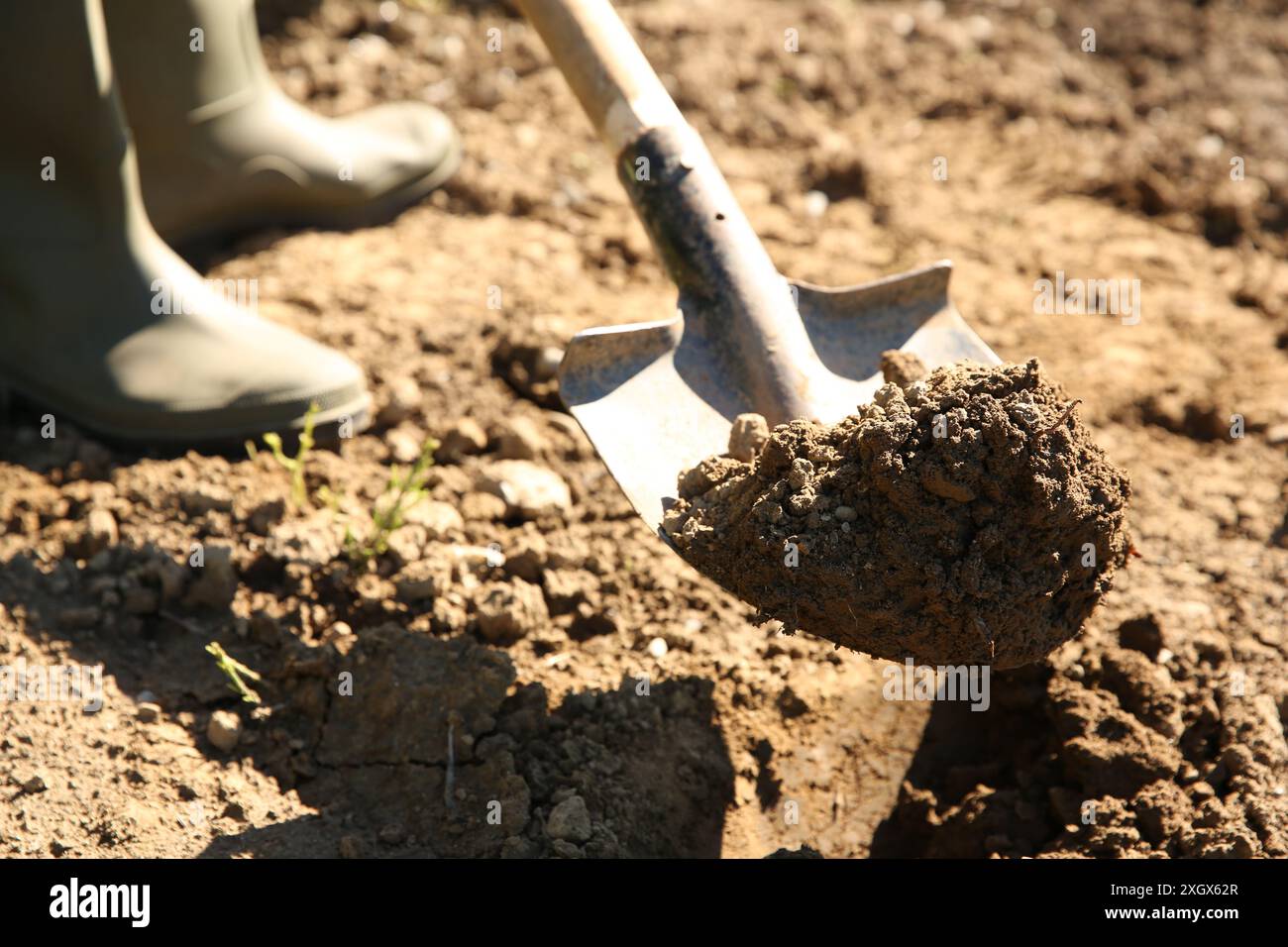 Woman digging soil on field hi-res stock photography and images - Alamy