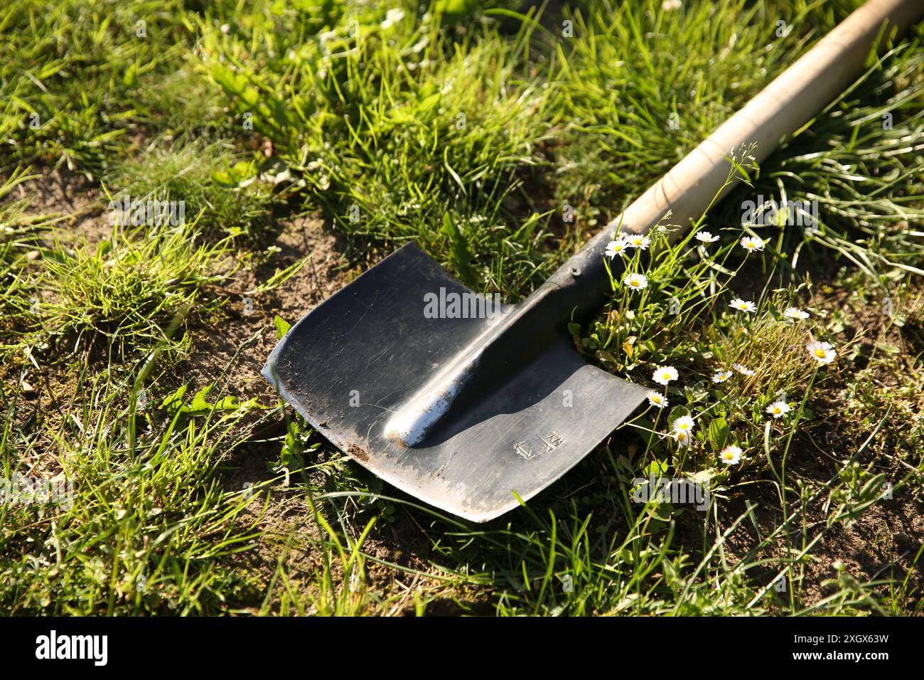 One shovel on green grass. Gardening tool Stock Photo - Alamy