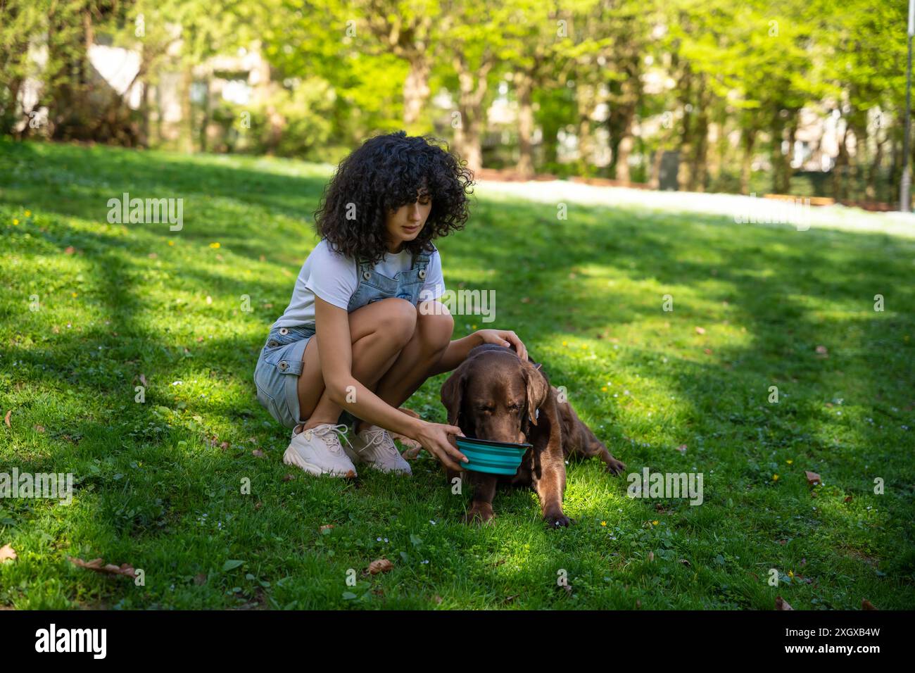 Dog owner giving water to her pet in the park Stock Photo - Alamy