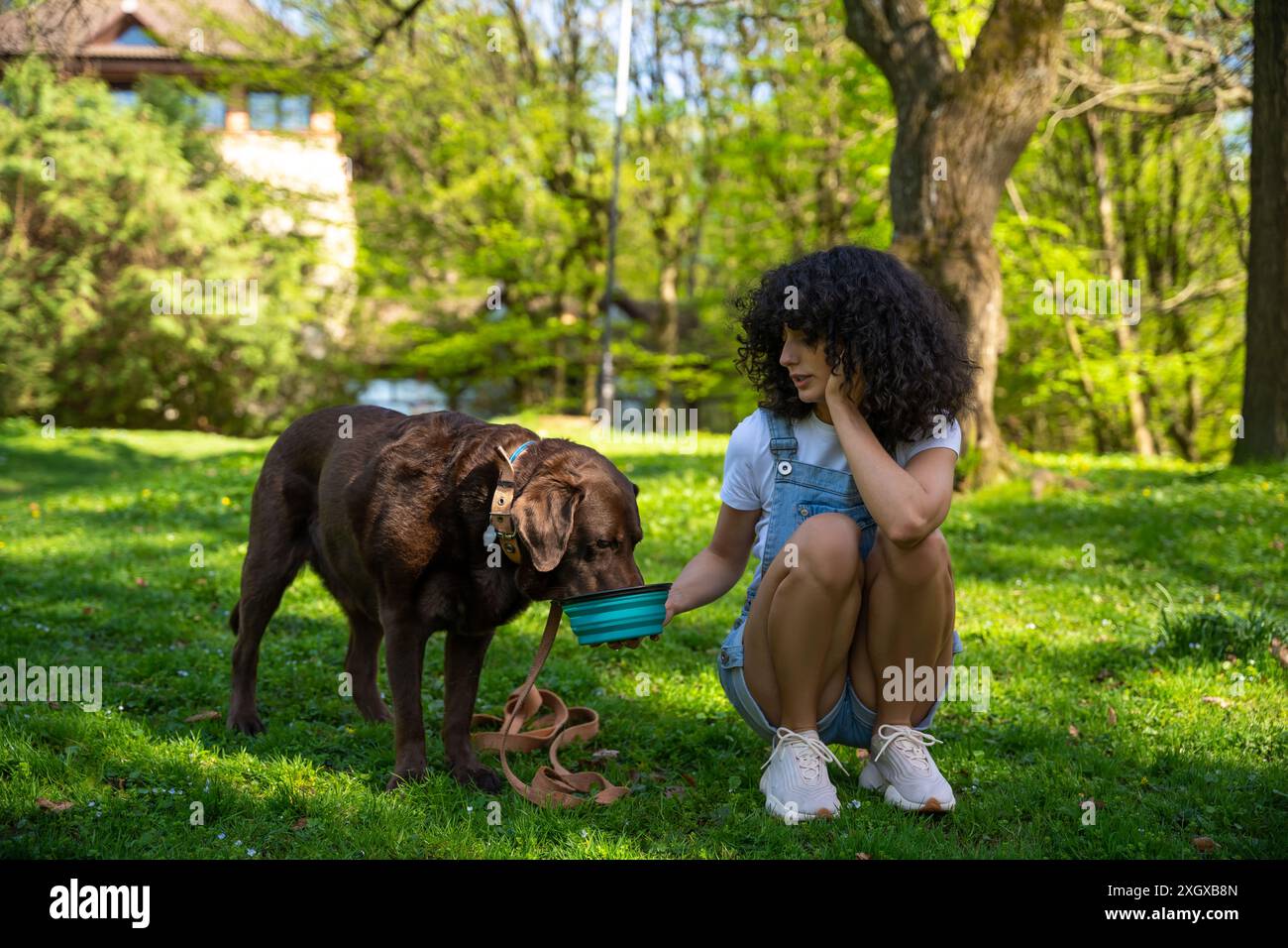 Dog owner giving water to her pet in the park Stock Photo - Alamy
