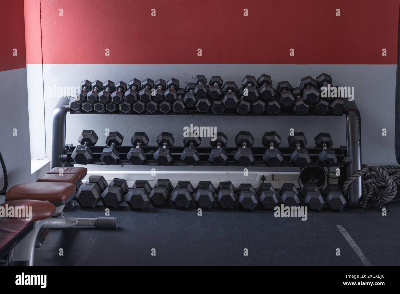 Fitness area showcases exercise hi-res stock photography and images - Alamy