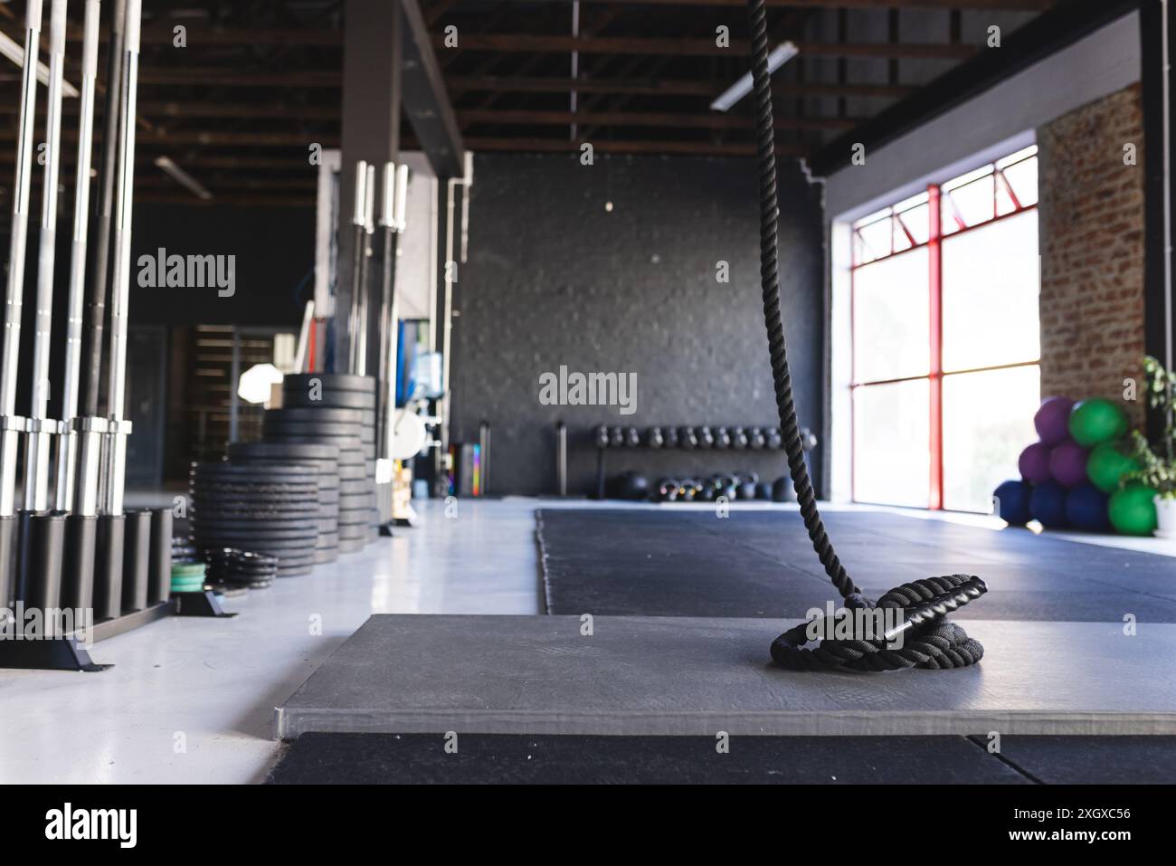A well-equipped gym interior showcases fitness equipment, with copy ...