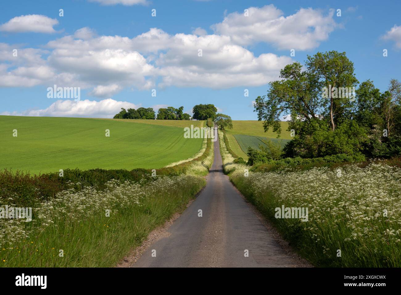 Britwell hi-res stock photography and images - Alamy