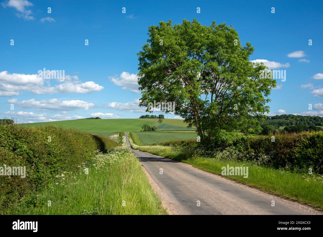 Britwell Hill, Oxfordshire, UK Stock Photo - Alamy
