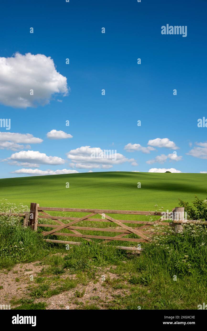 Britwell hi-res stock photography and images - Alamy