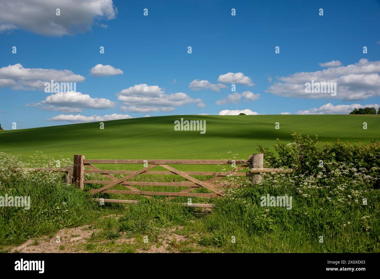 Britwell Hill, Oxfordshire, UK Stock Photo - Alamy