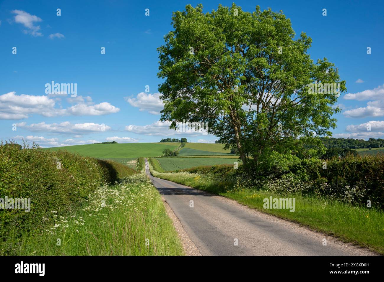 Britwell hi-res stock photography and images - Alamy